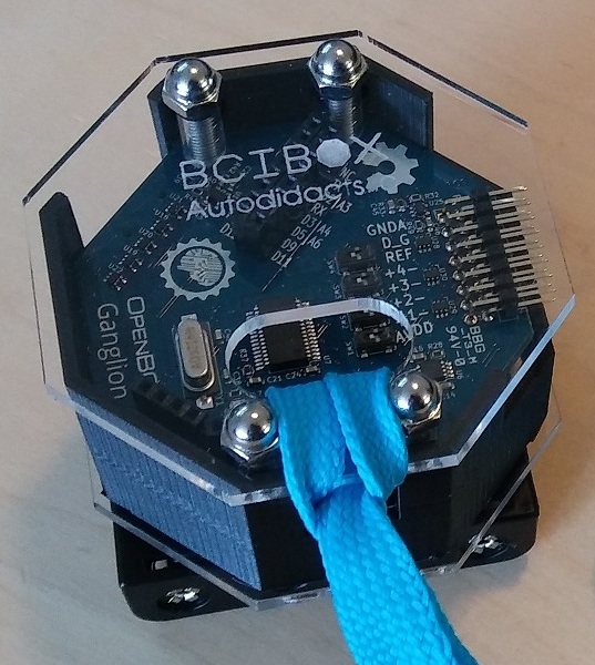 OpenBCI Ganglion – Container – BCIBox – brainwaves.io